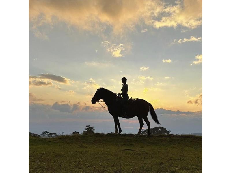 The Pura Vida Program Experience